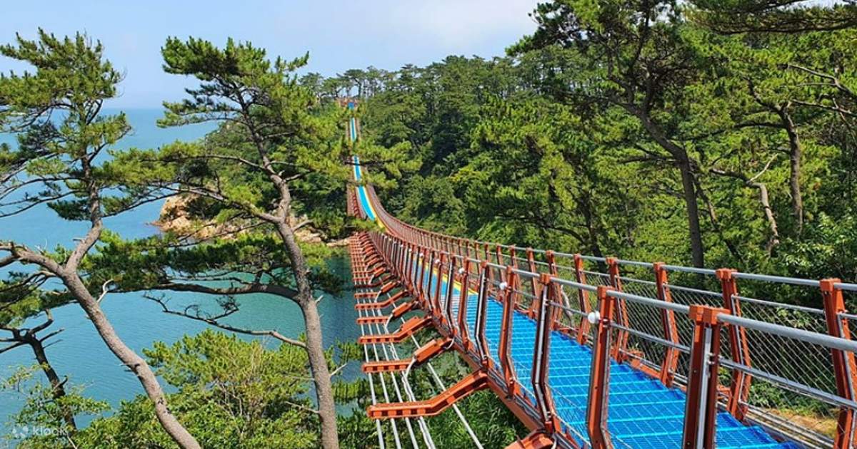 BUSAN + ULSAN 3 Days Tour - Klook